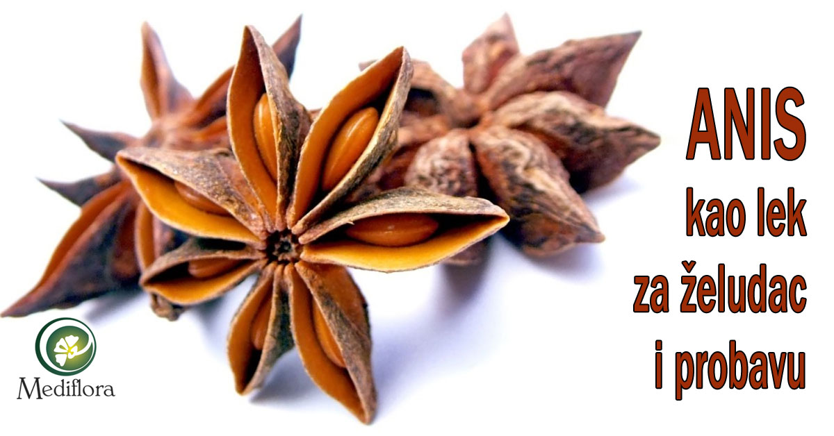 Anis kao lek za želudac i probavu - Mediflora