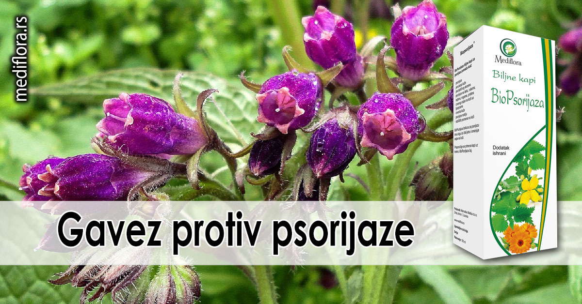 Gavez protiv psorijaze - Mediflora