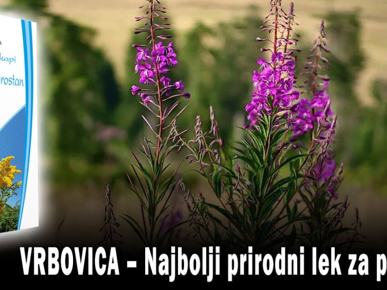 Biljna apoteka Mediflora