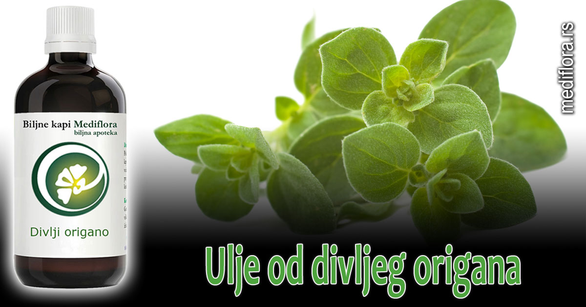 Ulje od divljeg origana - Mediflora