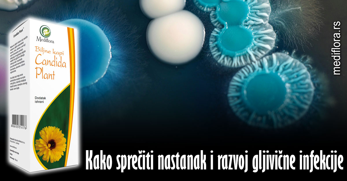 Kako sprečiti nastanak i razvoj gljivične infekcije - Mediflora